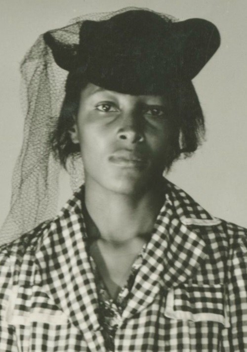 Coming Soon to Roxy Cinema